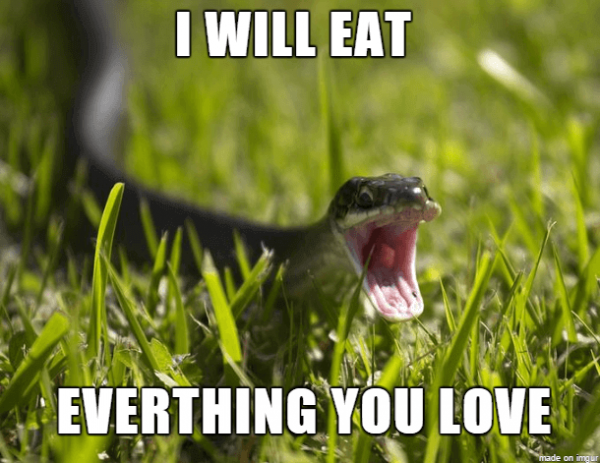 Snakes Control Services | Snake Catchers | Snake Removal Snake ...